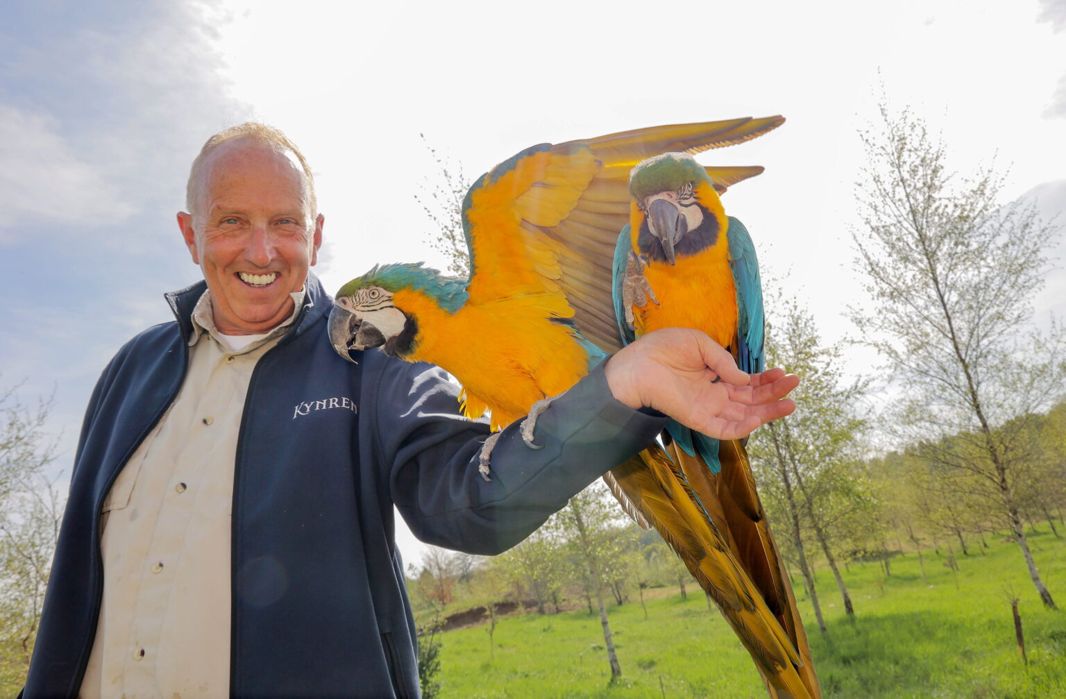 Kynren Aviaries win National Award Ahead of World-Class Flying Bird ...